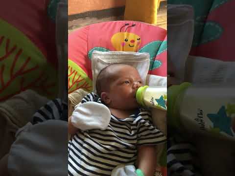 Feeding Max - YouTube