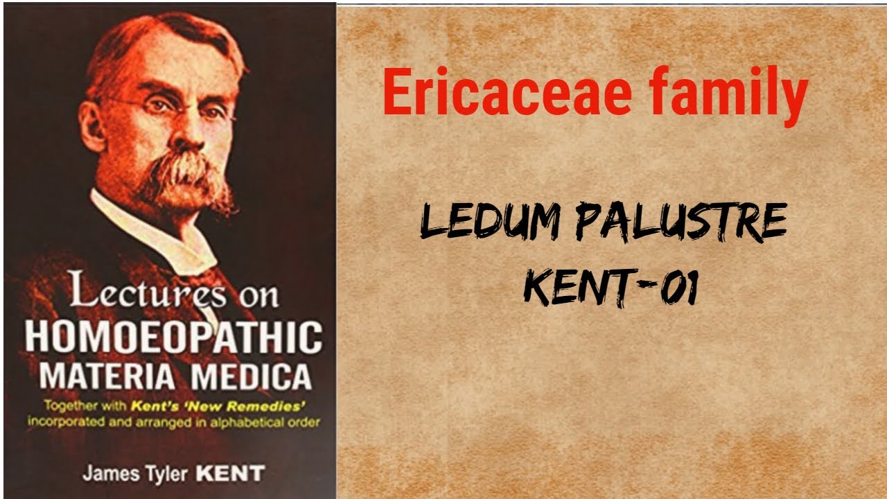 LEDUM PALUSTRE 01 | Ericaceae family | J.T KENT in Telugu. - YouTube