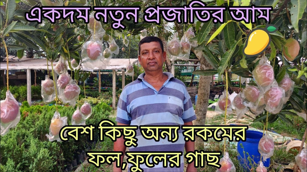 অন্যরকমের গাছ, আমার প্রিয় নার্সারি পরিদর্শন| My favourite nursery tour ...