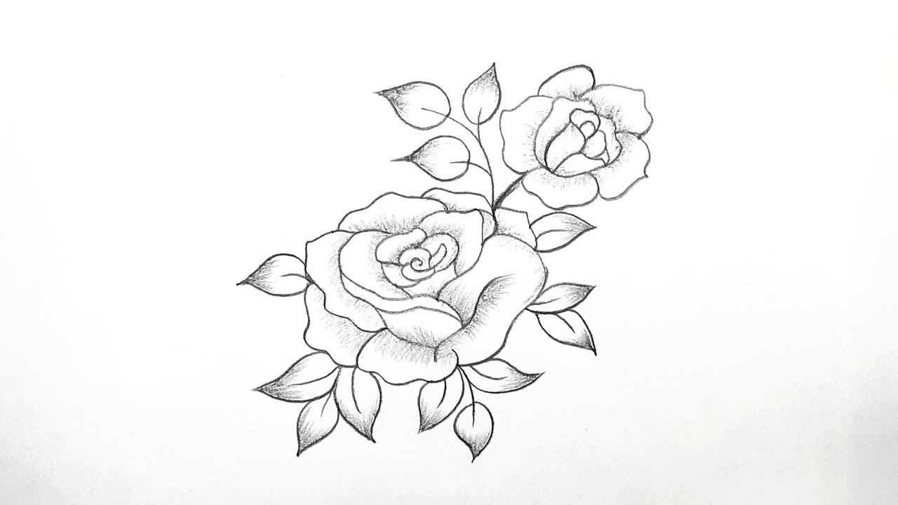 Rose Flower Drawing | Simple Drawing | Flower Art 3 | Embroidery design ...