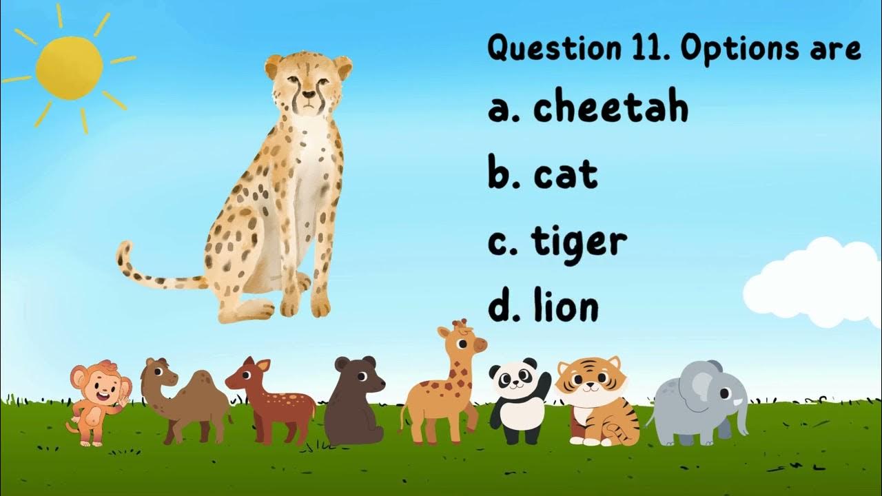 Zoo Animals Quiz for Kindergarten, Identify Animals for Kids under 3 ...