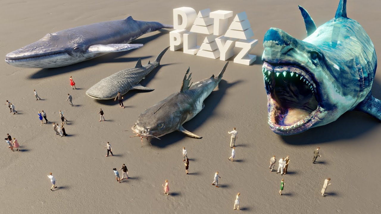 3D MONSTER FISH Size Comparison | 3d Animation Size Comparison - YouTube