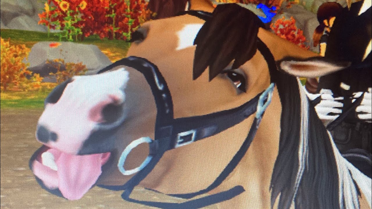 I just love when one horse jumps higher than the other🤦‍♀️ [SSO Edit ...