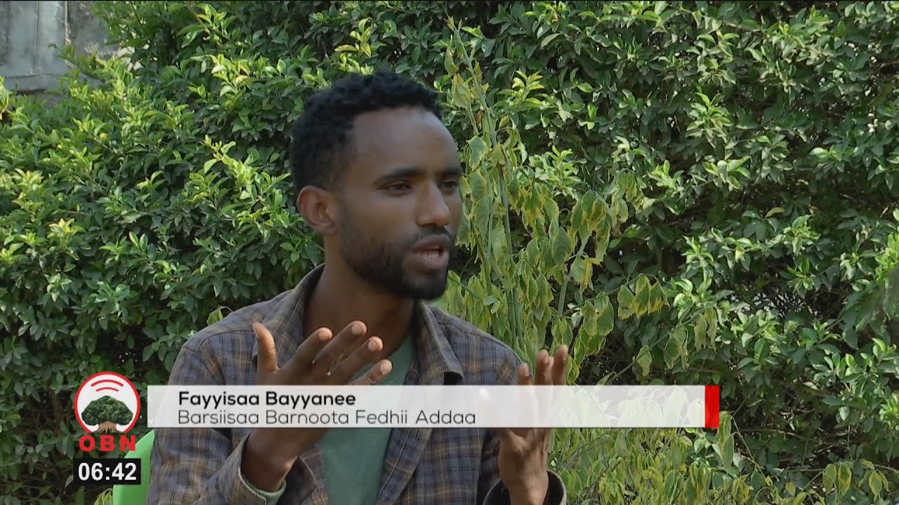 Qophii Hirkoo - YouTube