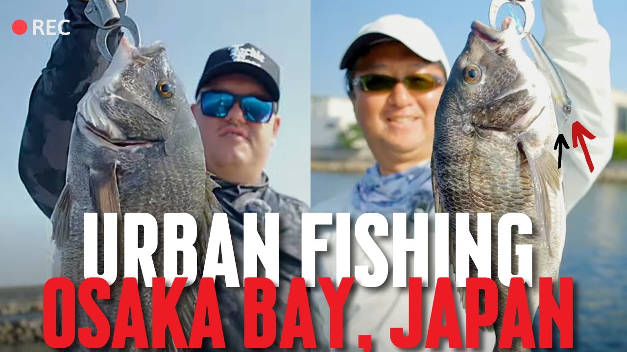Fishing in the World's Largest Urban Fishing Ground - Osaka Bay - YouTube