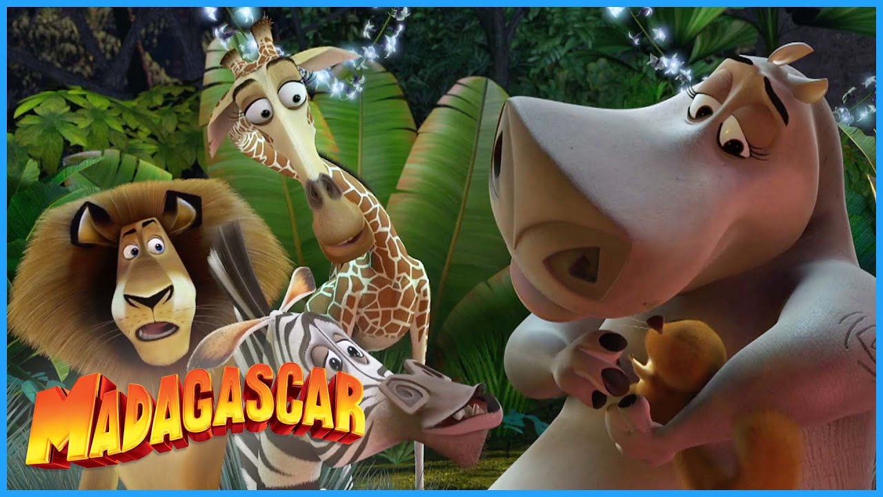 Gloria loves Mort | DreamWorks Madagascar - YouTube