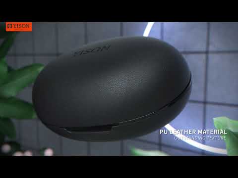 YISON High -End  TWS  Headphones H2
