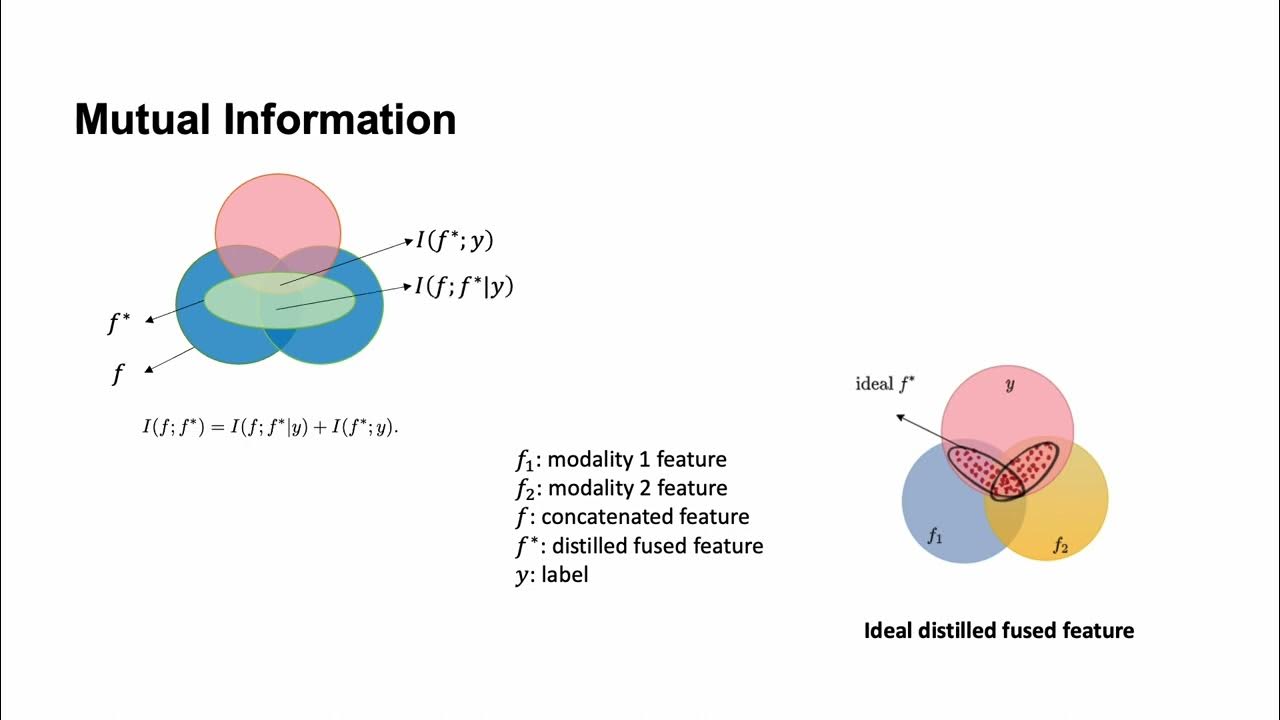 Dynamic Multimodal Information Bottleneck for Multimodality Classification - YouTube