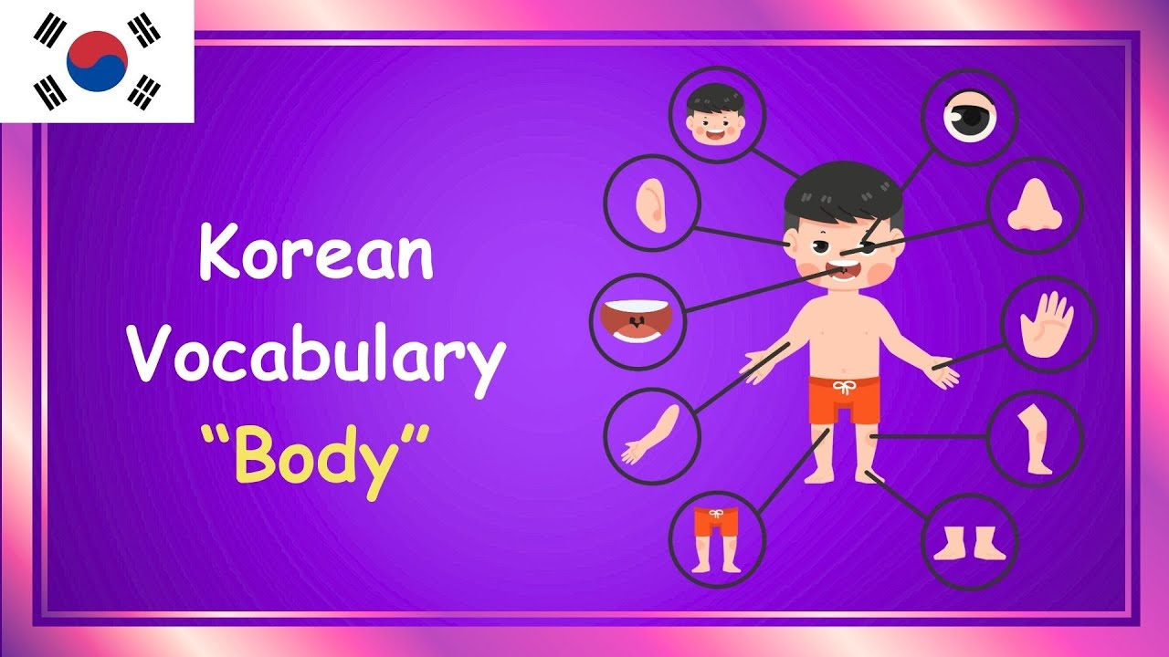 Learn Body Parts in Korean | Essential Korean Vocabulary for Beginners ...