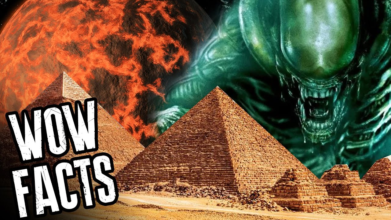 WOW FACT PART 1 - YouTube