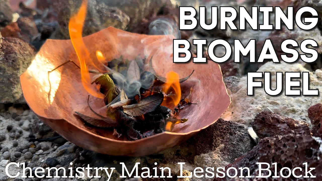 What Happens When You Burn Biomass Fuel? | Waldorf Chemistry Main ...