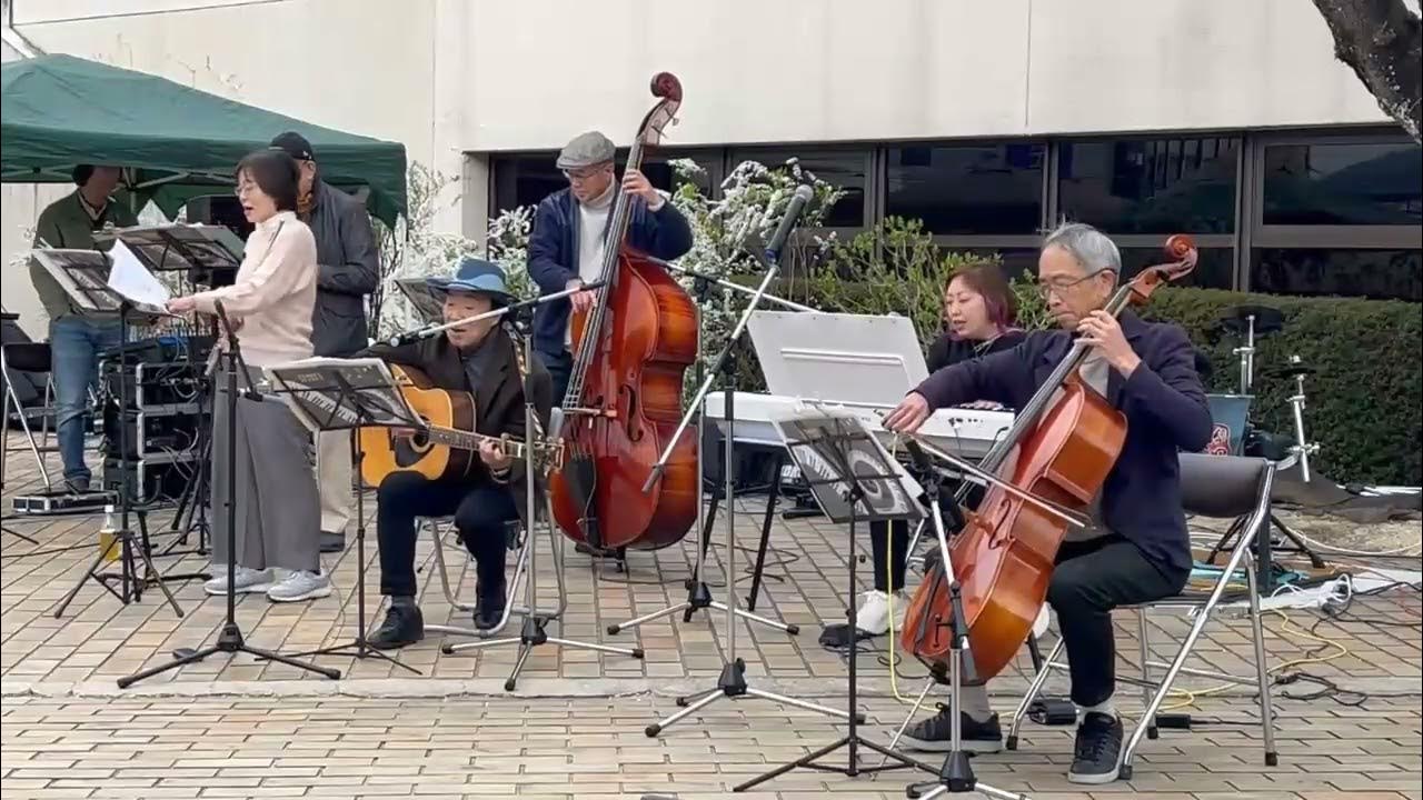 心の旅 チューリップ・桜ライブ・チェロ6年5ヵ月・2025/3/29 - YouTube