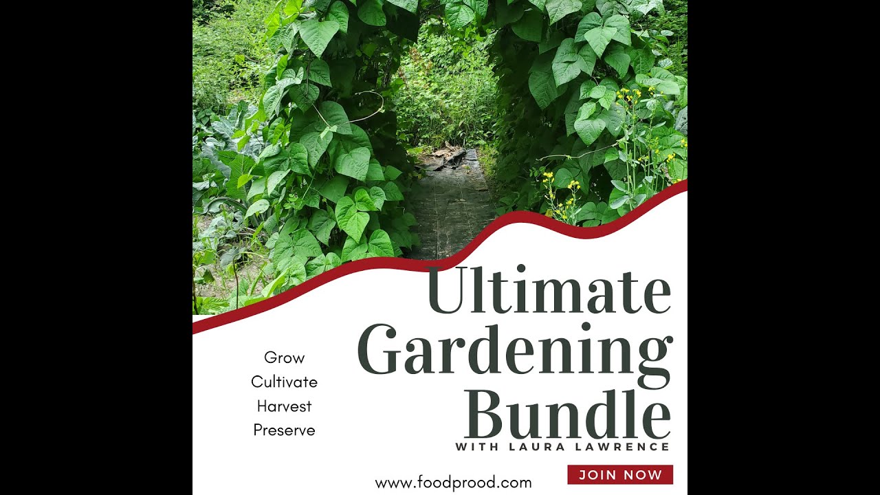 Ultimate Gardening Bundle where I show You EVERYTHING from seeds to ...