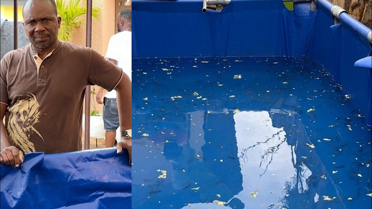 Meet The Ghanaian Prophet Who Ventures Into Catfish Farming || The Set ...