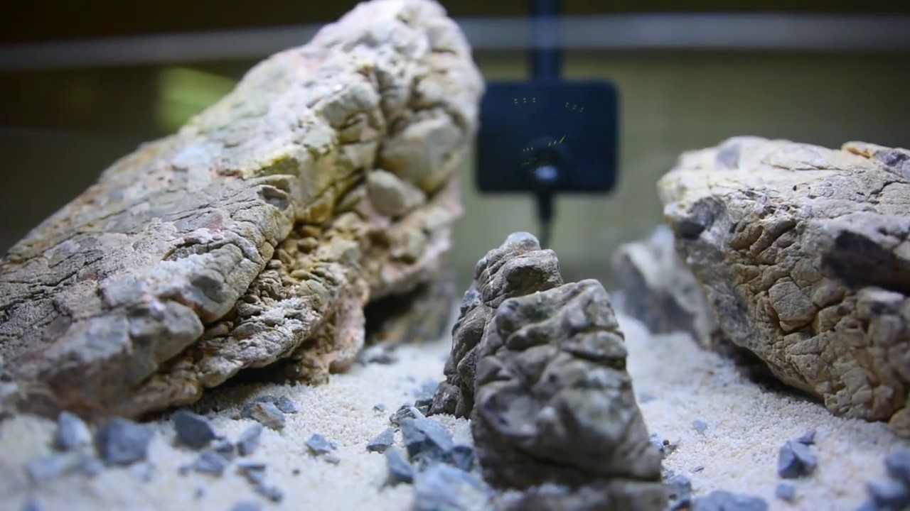 Shallow Nano Tank Aquascape (My very first shllow tank quascape) - YouTube
