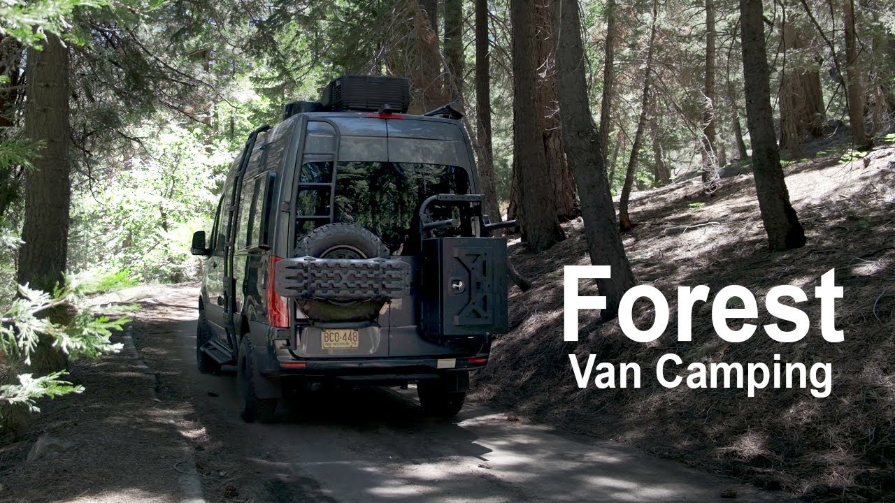 First-come, first-served dense forest camping near LA [Van Life ...