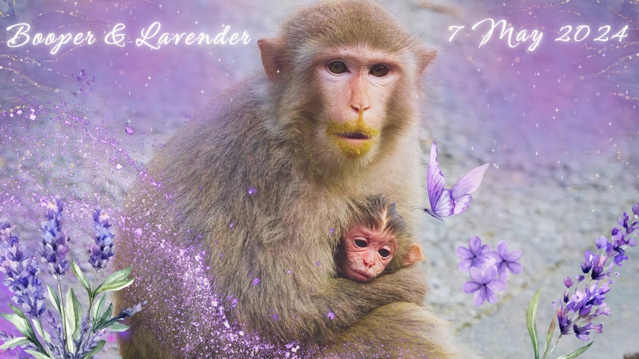 2024 Babies Tiny Fingers, Tiny Toes 🍼 ️ | Booper's precious baby girl ...