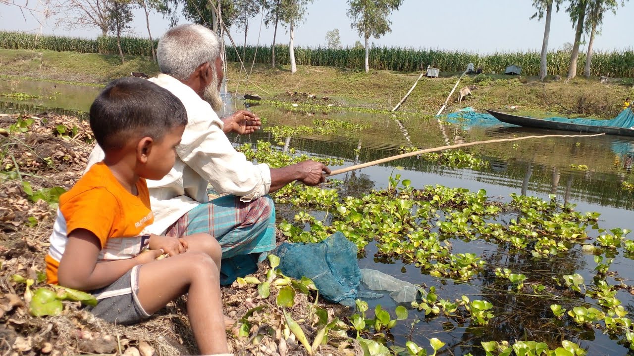 Village Hook Fishing | Best Hook Fishing Video | Amazing Hook Fishing ...