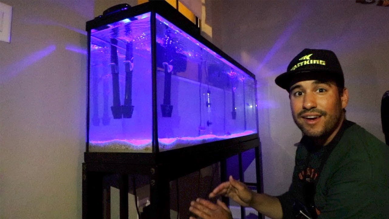 OFFER UP Budget, Aquarium shopping: Bringing home WILD caught BASS ...