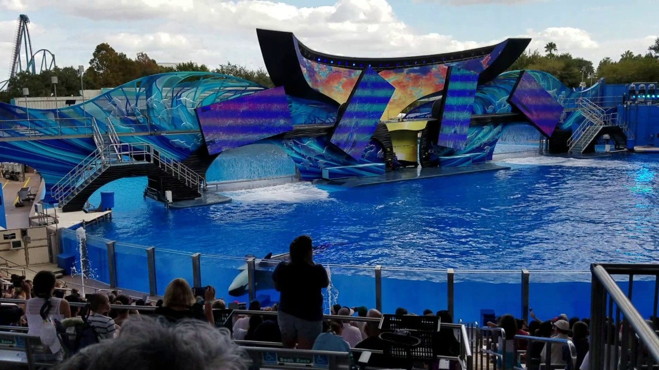 "One Ocean" Shamu show - SeaWorld Orlando - YouTube