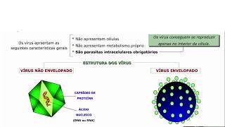 Diferença entre vírus envelopado e vírus não envelopado