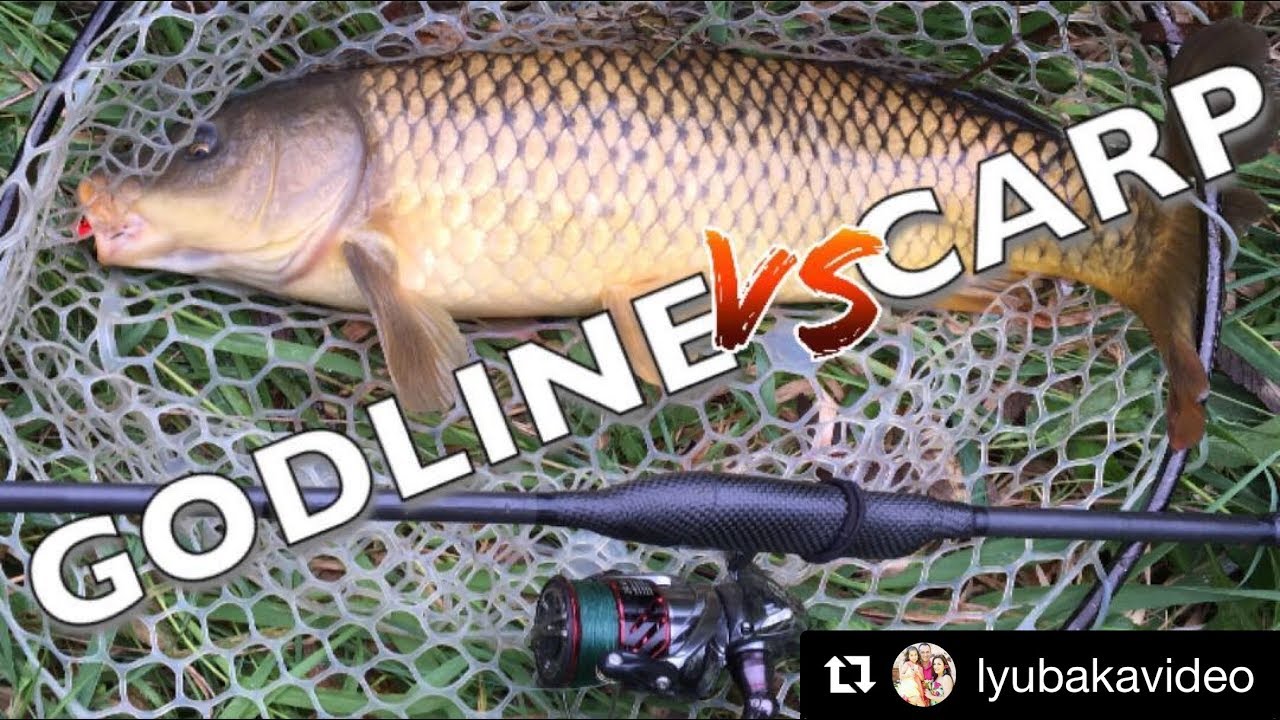 GODLINE by FISHINGSIR vs Carp Field test by Lyubaka - YouTube
