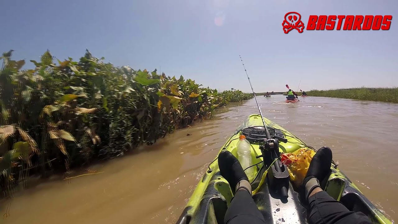 Pesca en el Delta, Nuevos lugares !!! - YouTube