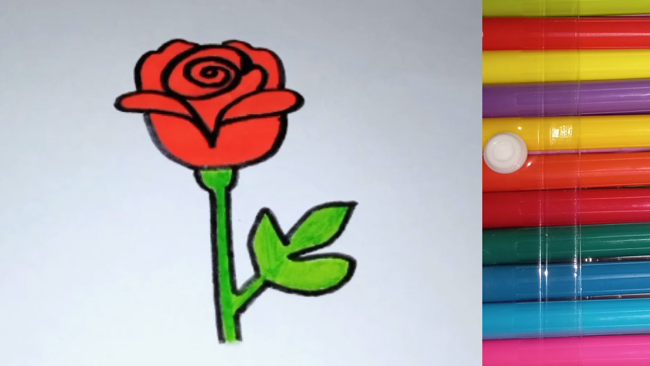 Menggambar Dan Mewarnai Bunga Mawar Merah - YouTube