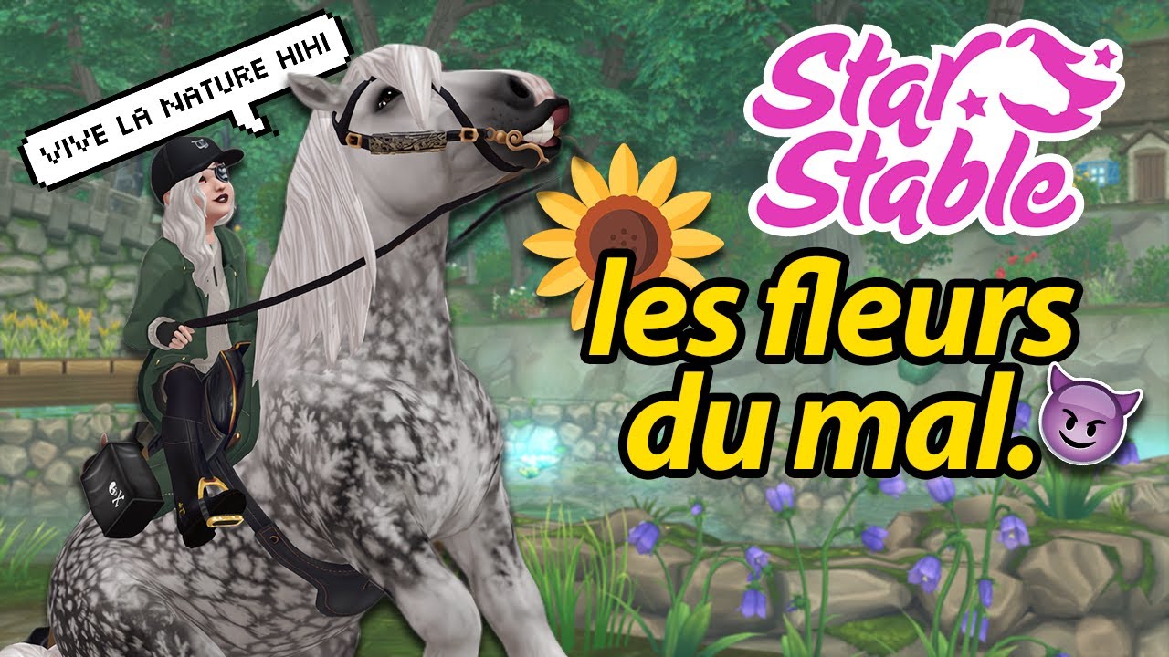 Découverte de la voie de la terre (boisé creux Valedale) | Star Stable ...