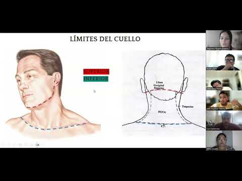 CIRUGÍA 2 CLASE 1 MASAS CERVICALES Pt1 - YouTube