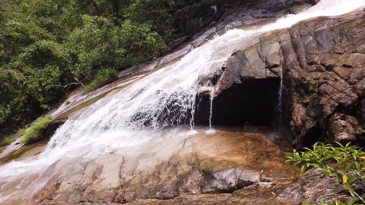 Nature and Life: Gunung Ledang Waterfall and Forest - YouTube