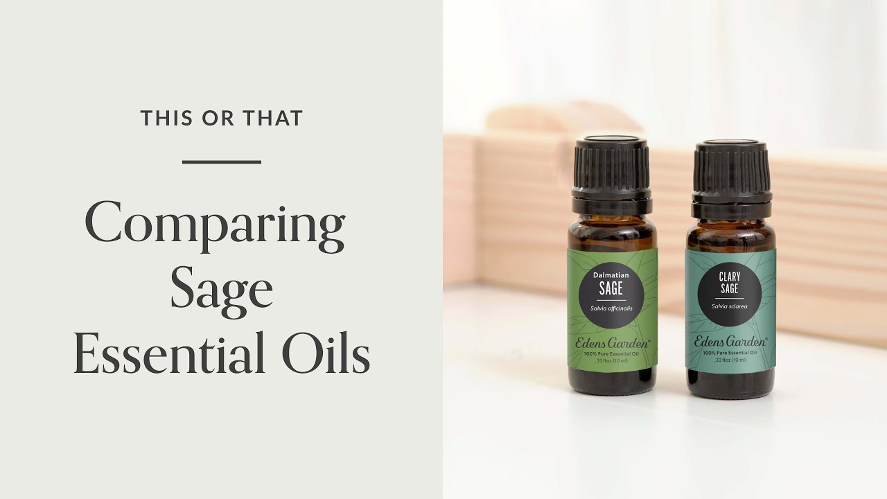 What is Clary Sage Essential Oil Used For? Is There a Difference ...