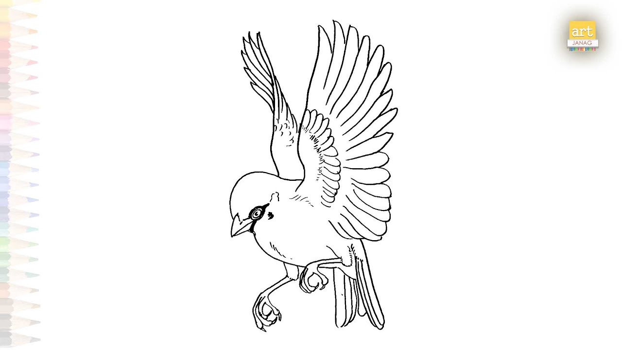 Flying Sparrow easy drawing | Birds sketches | How to draw A Sparrow ...