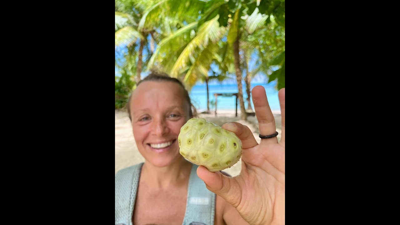 Vomit Fruit - YouTube