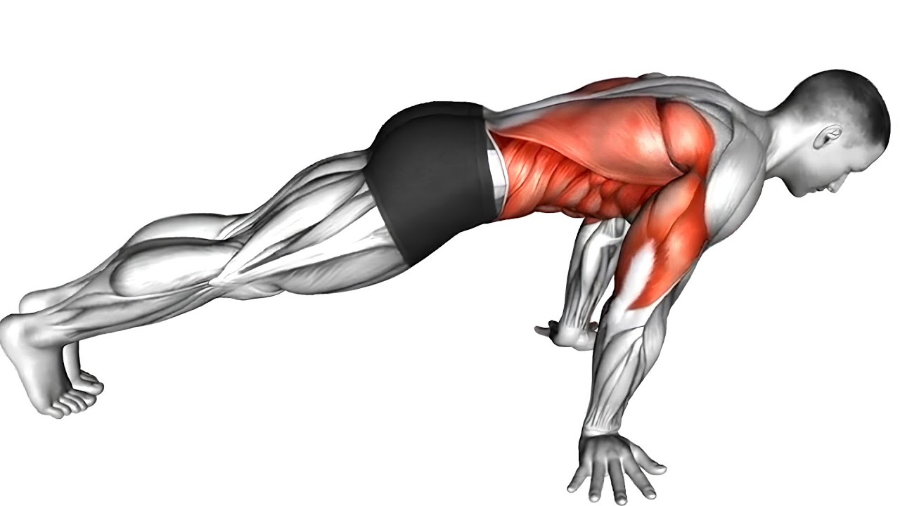 The Best Chest Exercises (No Weights) - YouTube