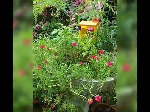 Office time flowers - YouTube