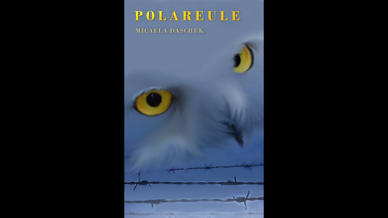 Polareule - eine Novelle von Micaela Daschek - YouTube