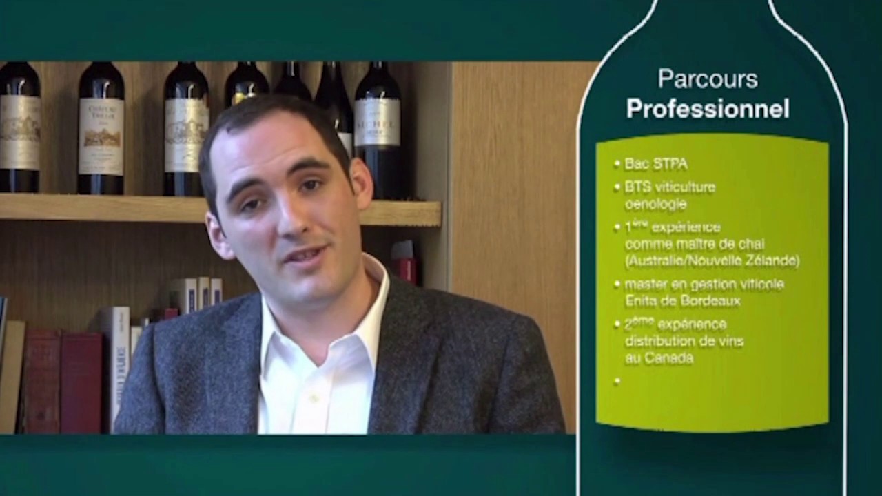 Le métier de responsable commercial export - Portrait de pros - YouTube