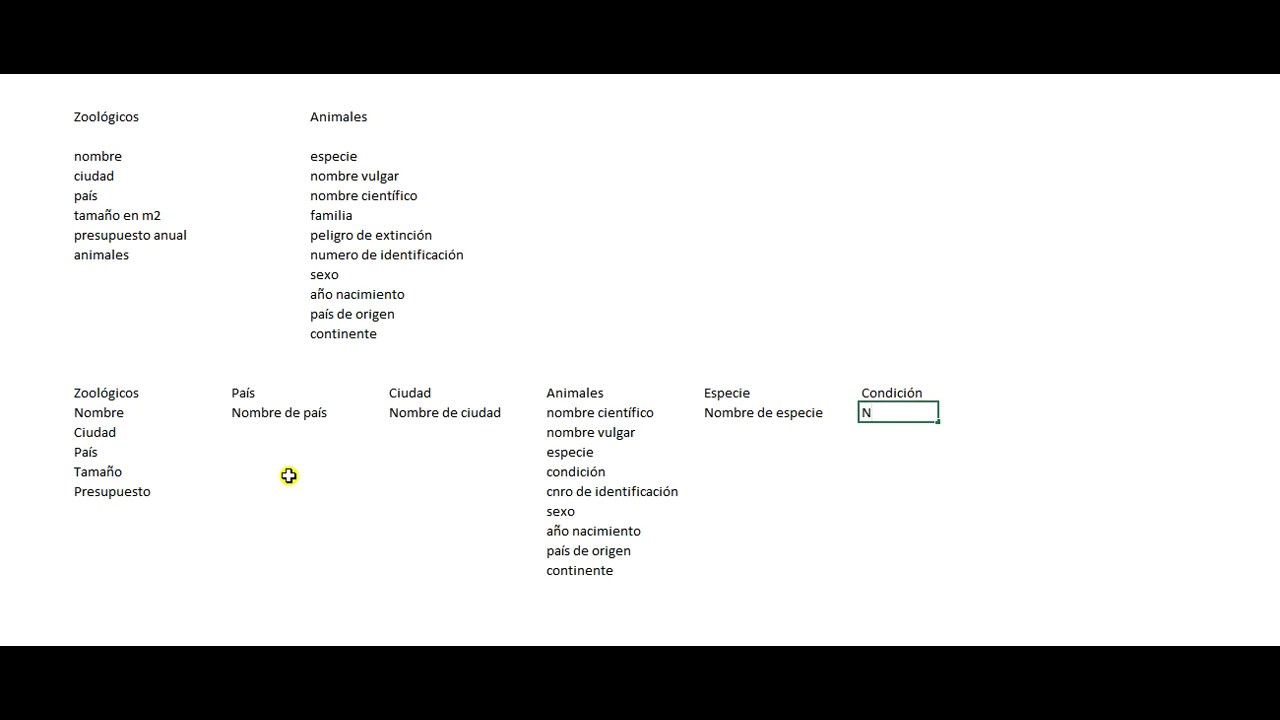 Ejercicio modelado de base de datos - Zoológico - YouTube