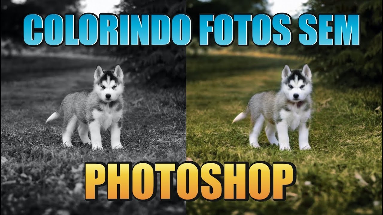 Colorindo Uma Foto Sem Photoshop | Fácil e Grátis - YouTube