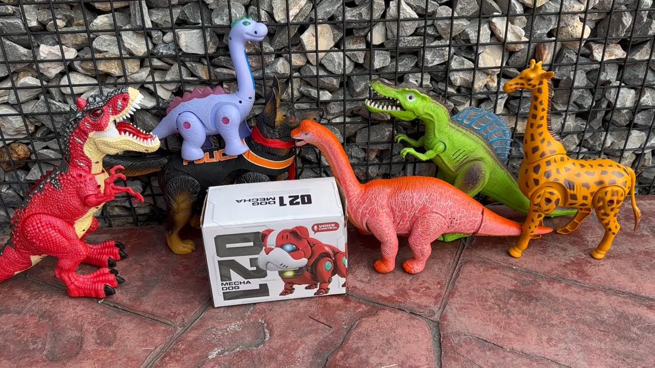 สุนัขหุ่นยนต์เปิดกล่องออกมาเดินโชว์ตัว มีเสียงดนตรี เล่นรวมกับไดโนเสาร์ ...