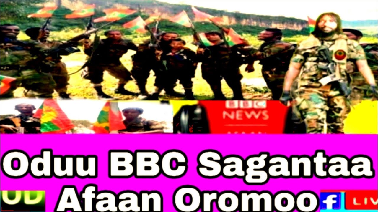 ODUU BBC AFAAN OROMO SEP 8/2021 - YouTube