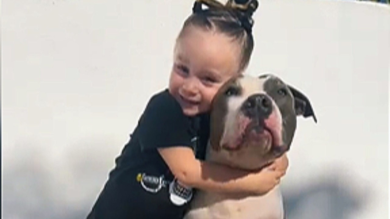 Baby Grows Up With His 90-Pound American Staffordshire Terrier - YouTube