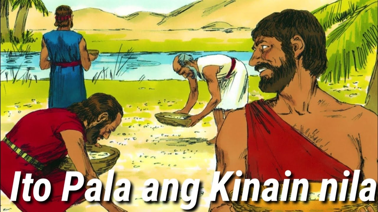 Manna at ang mga Pugo (Exodos 16:01-36) @thaldzamazingstories - YouTube
