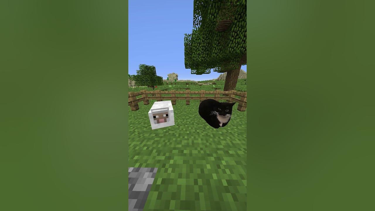 Maxwell The Carryable Cat In Minecraft Part 2 Youtube