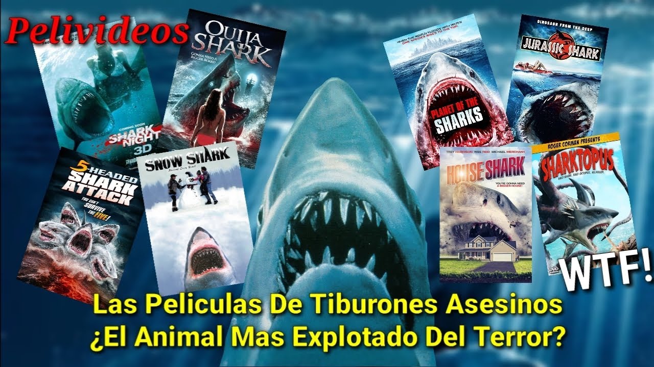 El Cine De Terror De Tiburones ¿El Animal Mas Explotado? | Pelivideos ...