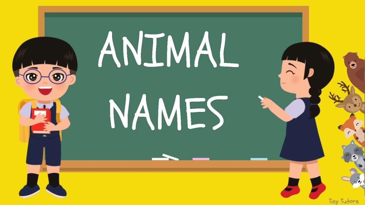 Learn Animal Names with Fun cartoons।। Animal names in english।। # ...
