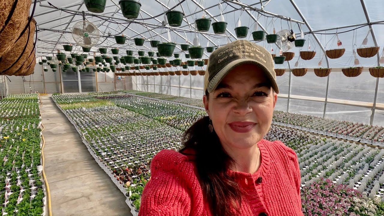 Flower Power: A Plant Update Tour - YouTube