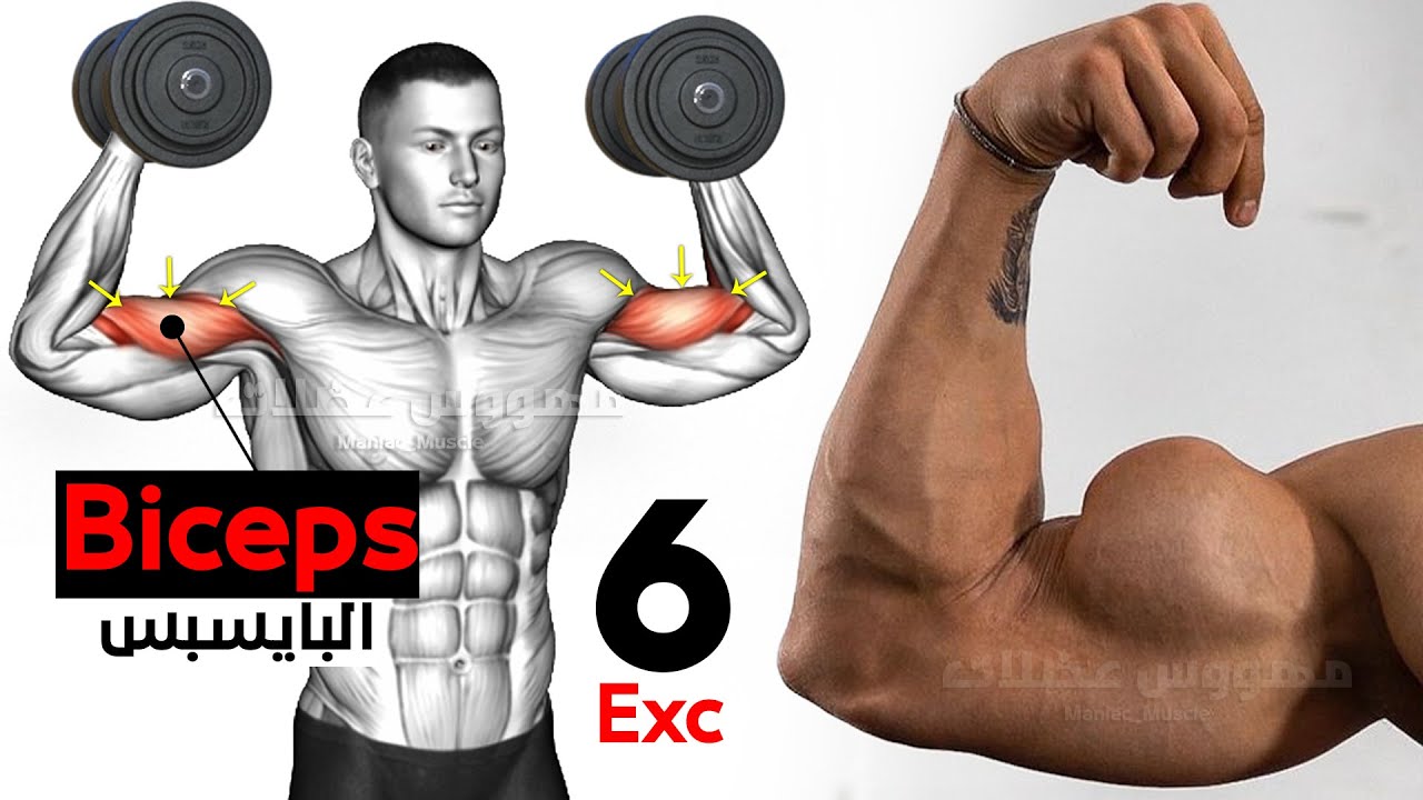 How To Build Your Biceps Fast (6 Effective Exercises)-تمارين البايسبس ...