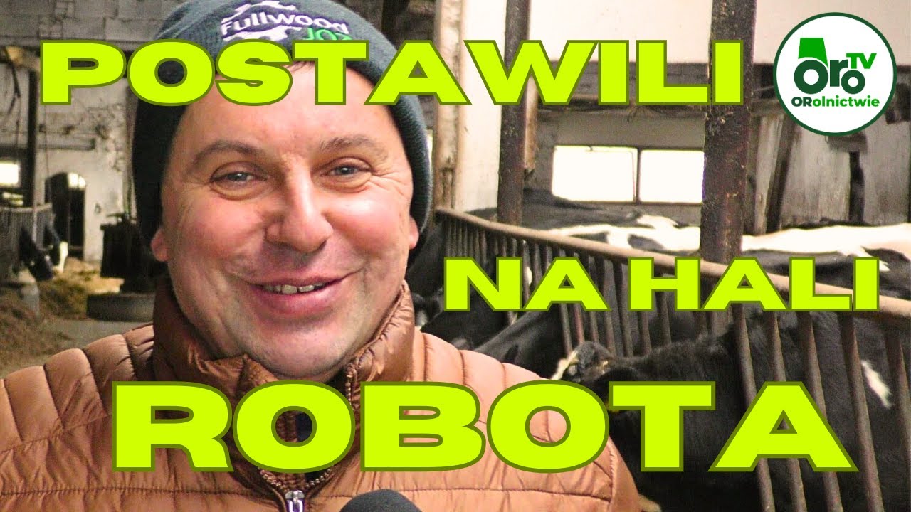 Robot od roku doi im 70 krów. Wydajność wzrosła. Mają 40 ha i piękne ...